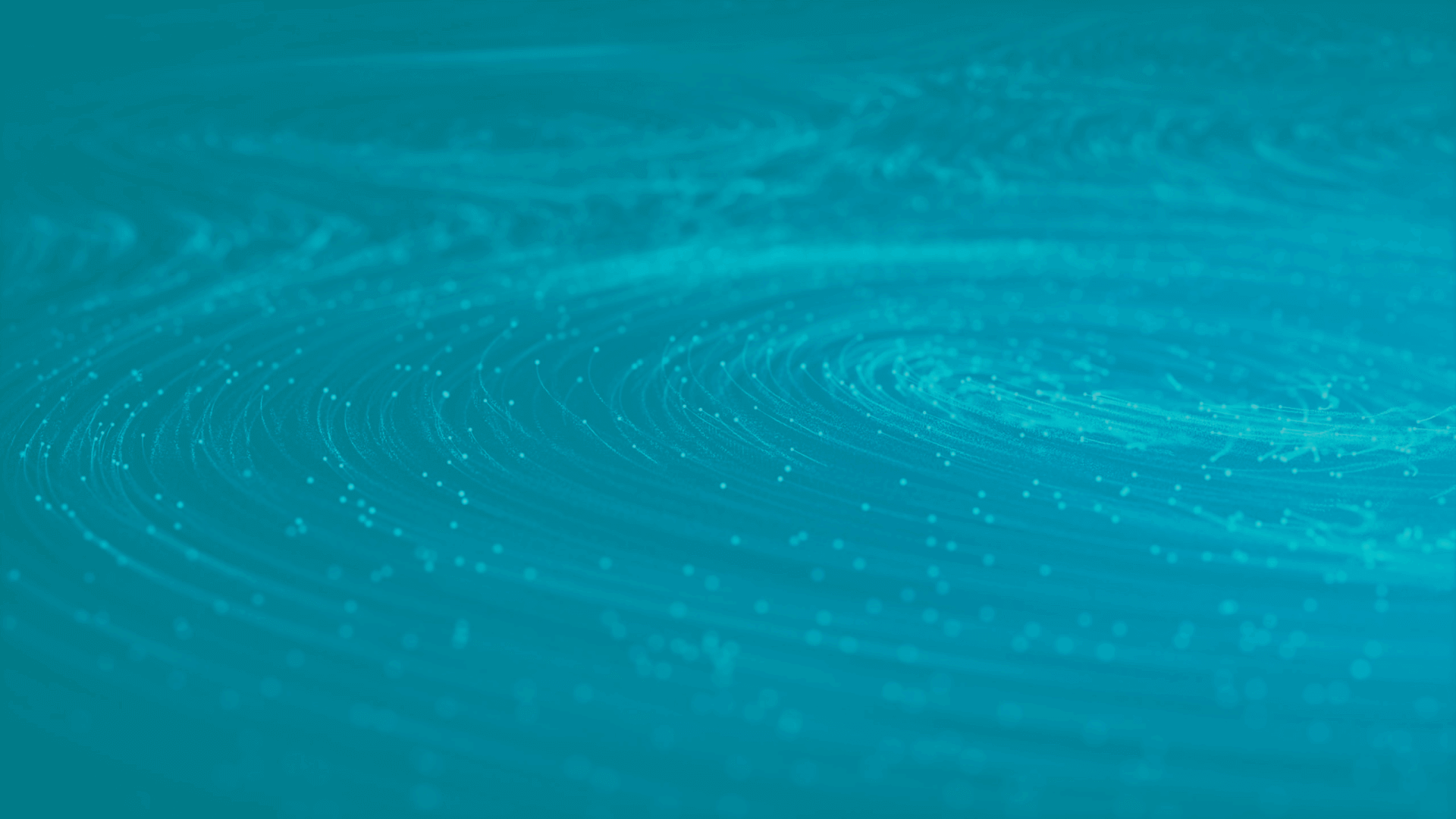 EKAER – Glossary | Grant Thornton Hungary